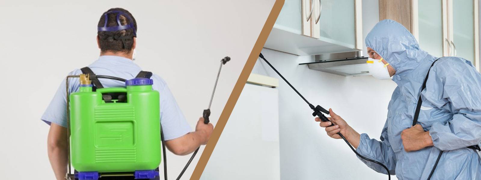 pest control in Bangladesh - Jahan pest control - 01711876331