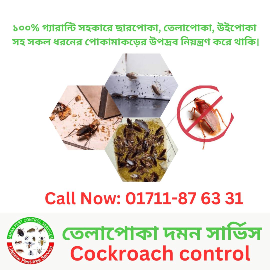 pest control in Bangladesh - Jahan pest control - 01711876331